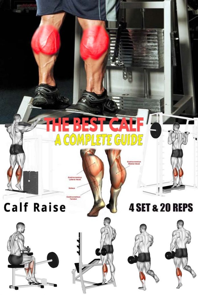 Calf Raise Variations: Types, Benefits & Guide Exercises