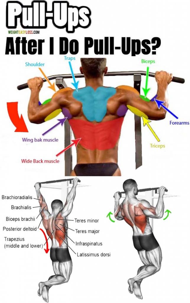 Pull-ups on Horizontal Bar: Types, Techniques, Benefits