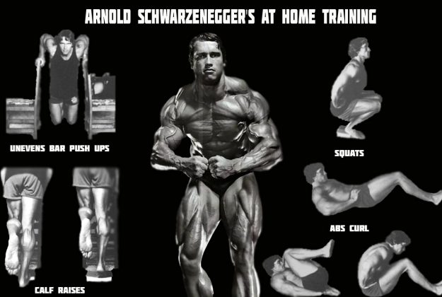 The 8 Best Arnold Schwarzenegger at Home Training, Tips & Benefits