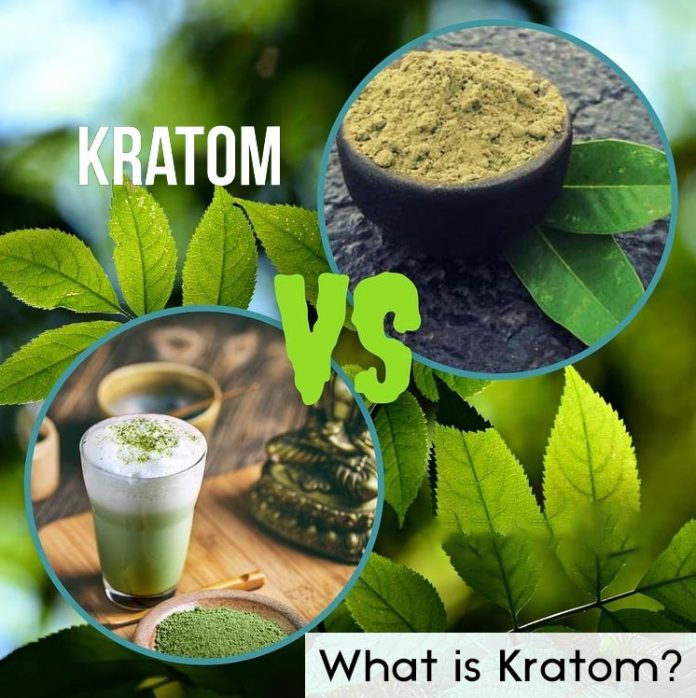 What is Kratom & How Do Athletes use Kratom in the Training
