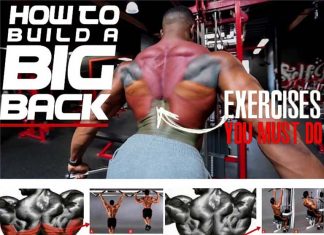 building a big back