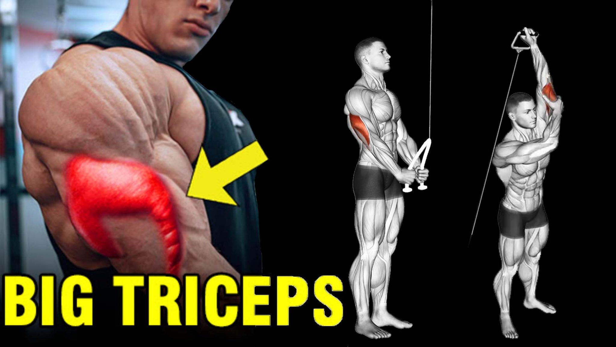 How to Outer Triceps Training, Step-by-Step | Tutorial Guide