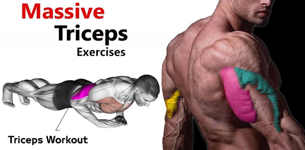 The 10 Best Home Exercises for Massive Triceps-Training Program